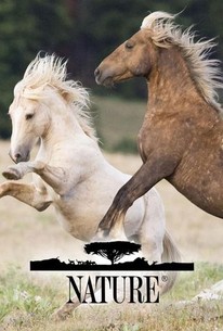 Nature: Season 28, Episode 8 - Rotten Tomatoes