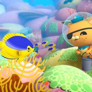 Octonauts: Season 2, Episode 14 - Rotten Tomatoes
