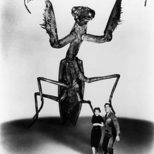 Alix Talton - Rotten Tomatoes