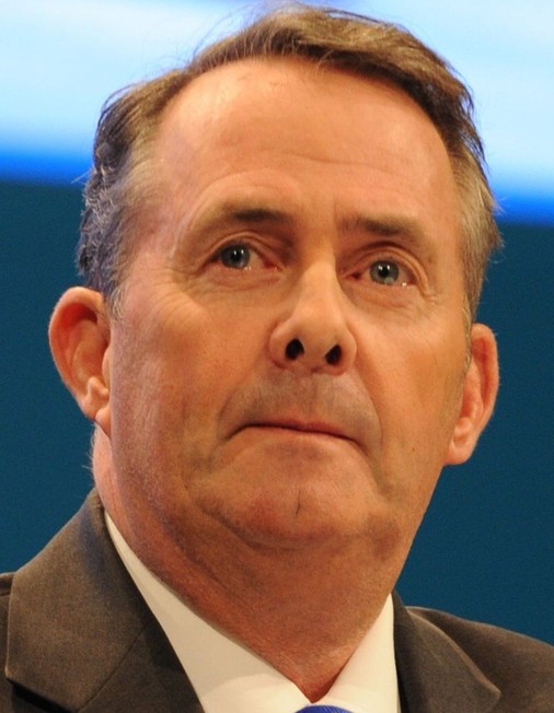 Liam Fox - Rotten Tomatoes