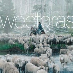 Sweetgrass - Rotten Tomatoes