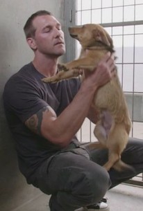 Lucky Dog: Season 4, Episode 2 - Rotten Tomatoes