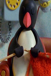 Pingu: Season 5, Episode 26 - Rotten Tomatoes