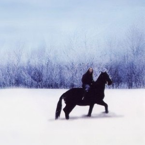 The Christmas Stallion - Rotten Tomatoes