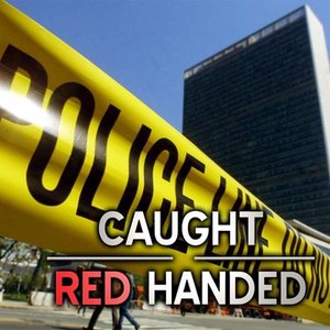 Caught Red Handed - Rotten Tomatoes