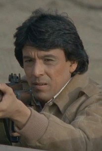 Knight Rider: Season 1, Episode 14 | Rotten Tomatoes