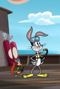 Wabbit: Season 2, Episode 20 | Rotten Tomatoes