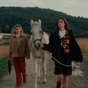 Amanda - Rotten Tomatoes