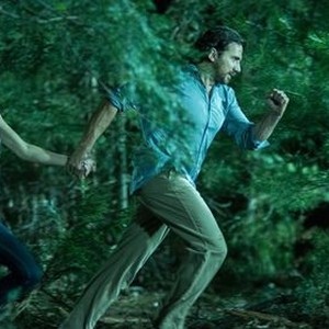 Animal - Rotten Tomatoes