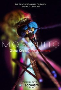 Mosquito (2017) | Rotten Tomatoes