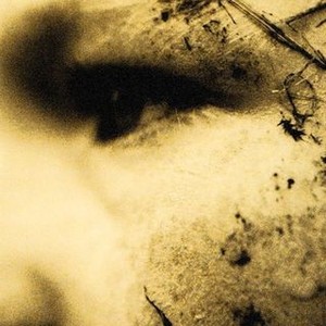 Ratcatcher - Rotten Tomatoes