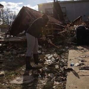 Shored Up - Rotten Tomatoes