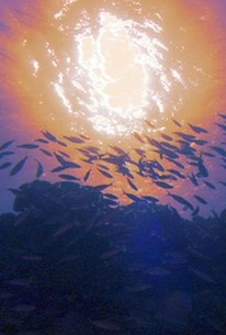 Catalyst: Season 17, Episode 40 | Rotten Tomatoes