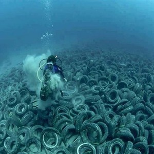 Trashed - Rotten Tomatoes