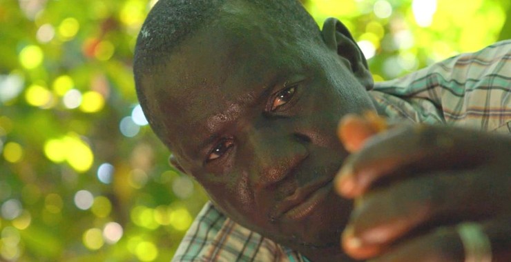 Rotten | Rotten Tomatoes