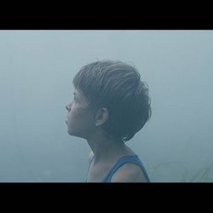 Rival - Rotten Tomatoes