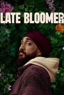 Late Bloomer: Season 1 | Rotten Tomatoes