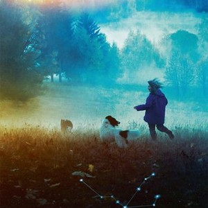 Spoor - Rotten Tomatoes