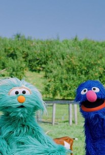 Sesame Street: Season 52, Episode 25 | Rotten Tomatoes