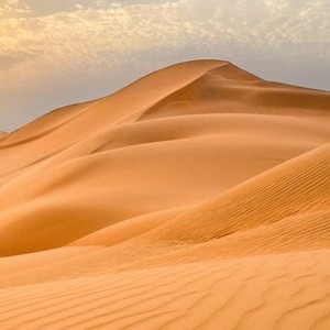 Desert Vision - Rotten Tomatoes