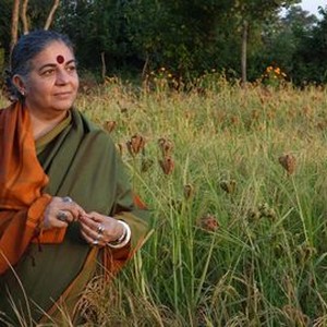 Seed: The Untold Story - Rotten Tomatoes