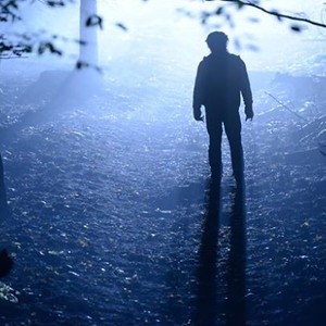 Wolves - Rotten Tomatoes