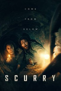 Scurry | Rotten Tomatoes