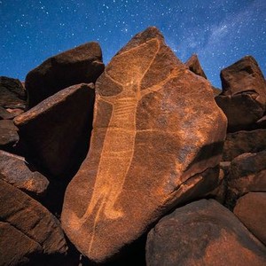 First Footprints - Rotten Tomatoes