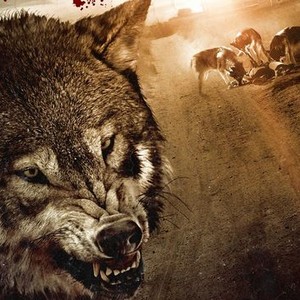 Wolf Town - Rotten Tomatoes