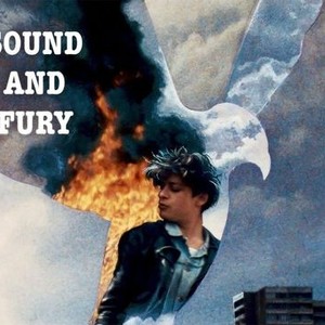 Sound and Fury - Rotten Tomatoes
