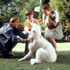 Benj Thall - Rotten Tomatoes