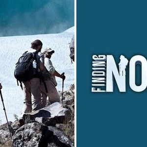 Finding Noah - Rotten Tomatoes