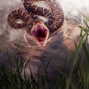 Swamp People: Serpent Invasion - Rotten Tomatoes