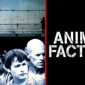 Animal Factory - Rotten Tomatoes