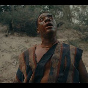 Aníkúlápó - Rotten Tomatoes