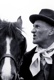 Steptoe and Son: Season 7, Episode 6 | Rotten Tomatoes