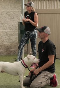 Dog: Impossible: Season 2, Episode 3 | Rotten Tomatoes