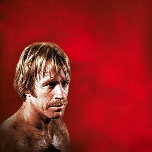 The Octagon - Rotten Tomatoes