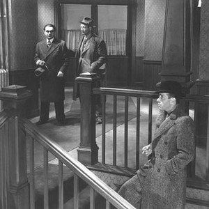 Max Rosenbloom - Rotten Tomatoes