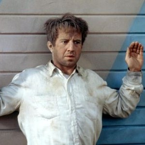 Arliss Howard - Rotten Tomatoes