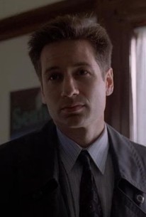 The X-Files: Season 1, Episode 23 | Rotten Tomatoes