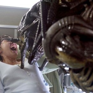 Victoria Bidewell - Rotten Tomatoes