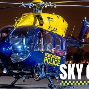 Sky Cops: Season 1, Episode 1 - Rotten Tomatoes