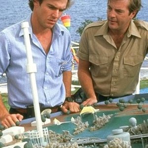 Jaws III - Rotten Tomatoes