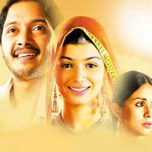 Dor - Rotten Tomatoes