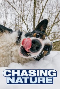 Chasing Nature | Rotten Tomatoes