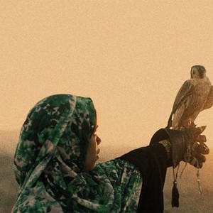 The Falconer - Rotten Tomatoes