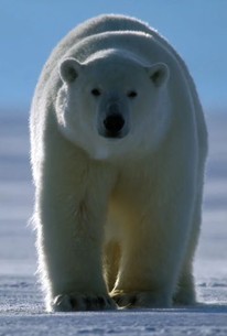 Animal: Season 2, Episode 3 - Rotten Tomatoes