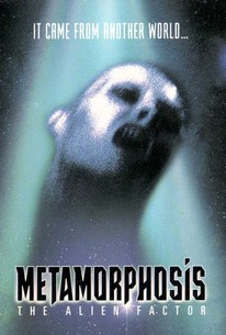 Metamorphosis (1993) - Rotten Tomatoes