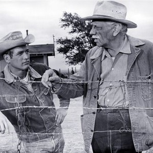 Hud - Rotten Tomatoes